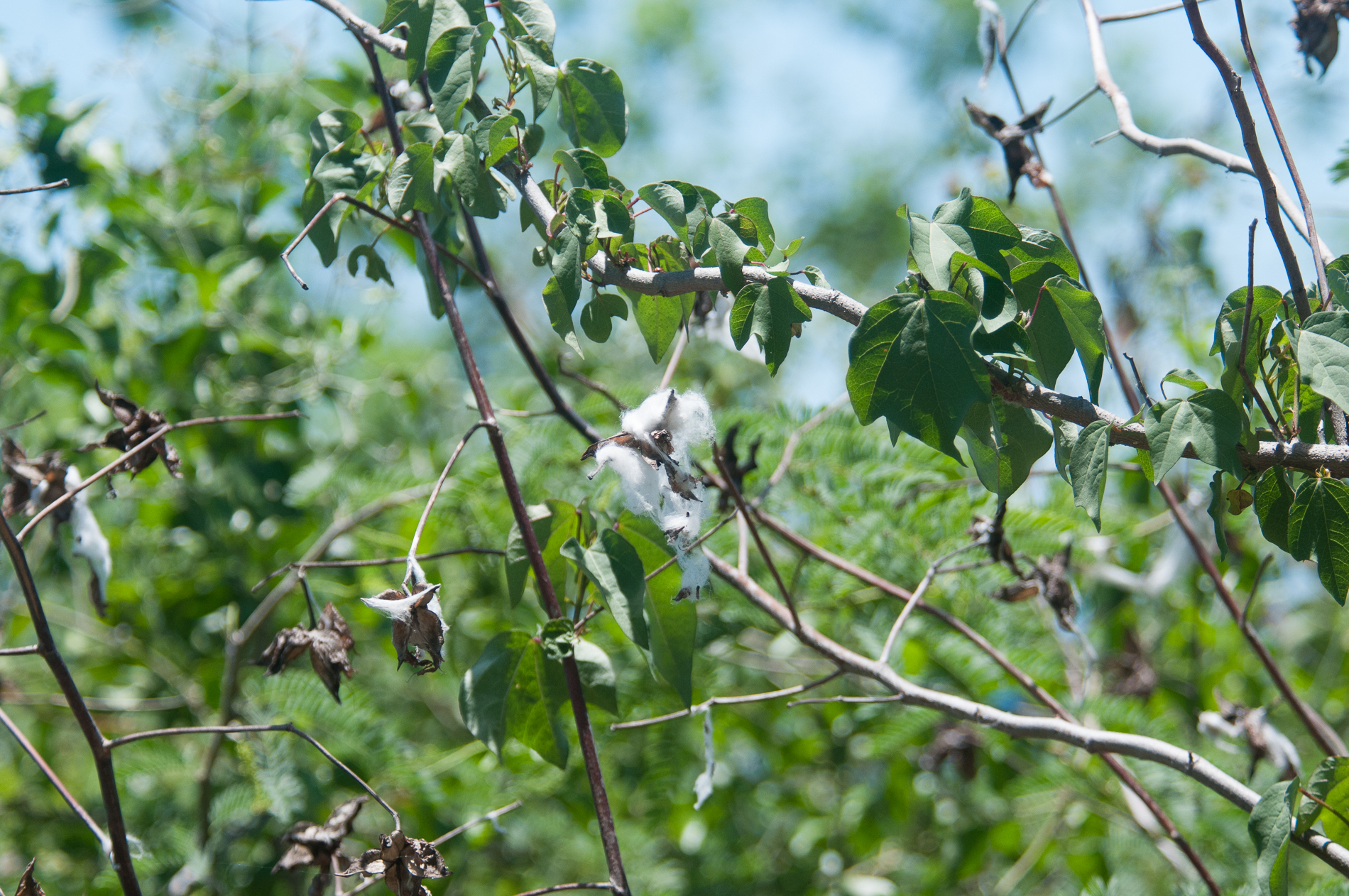 Isla de Culebra | fetchinketch