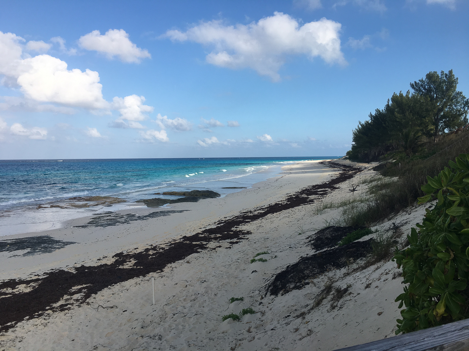 What is special about Great Guana Cay? | fetchinketch