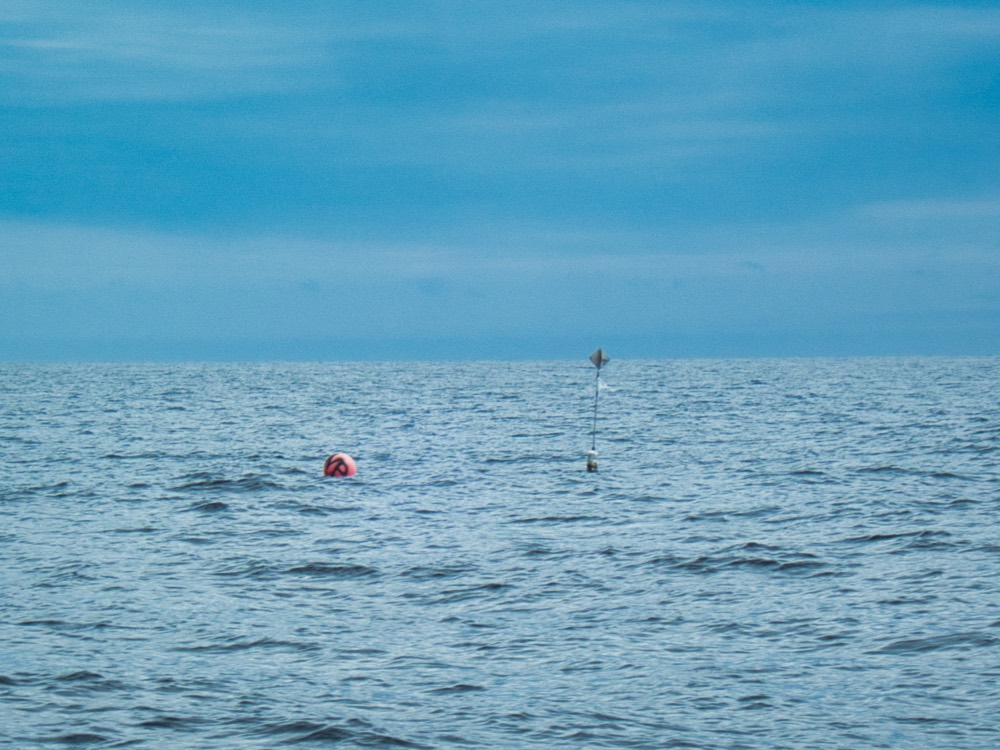 Landed! | fetchinketch