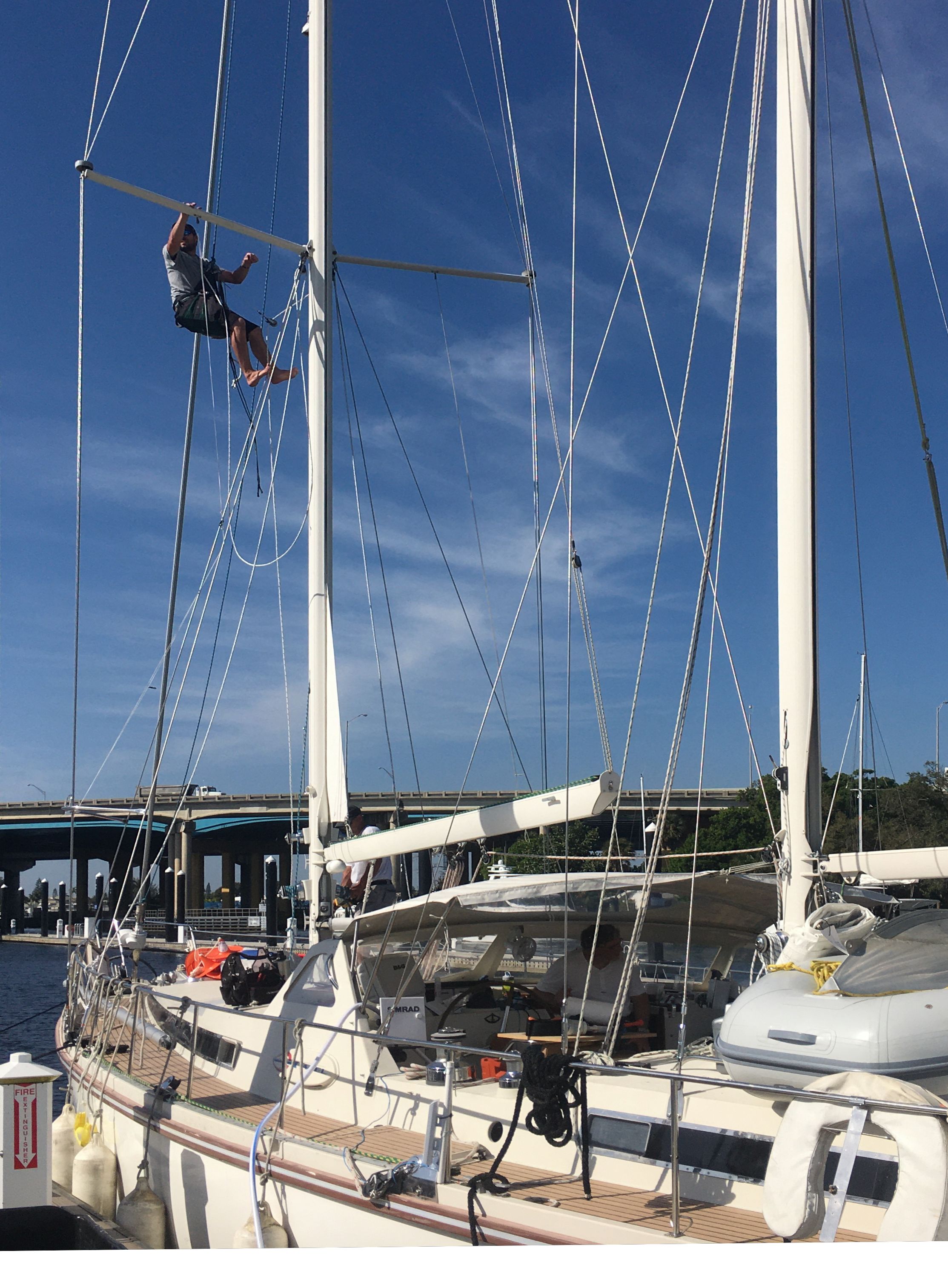 Hey! What’s he doing up there? | fetchinketch