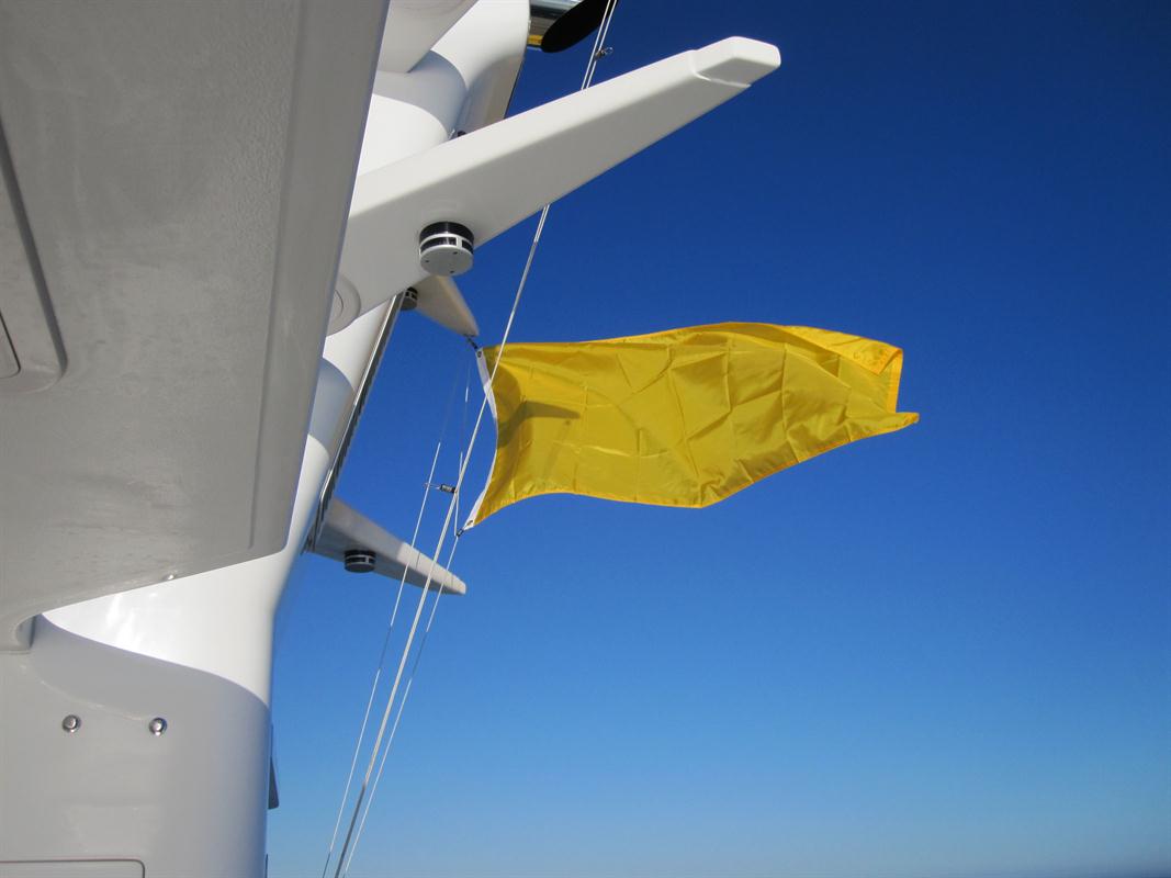 Flying the Q-Flag | fetchinketch